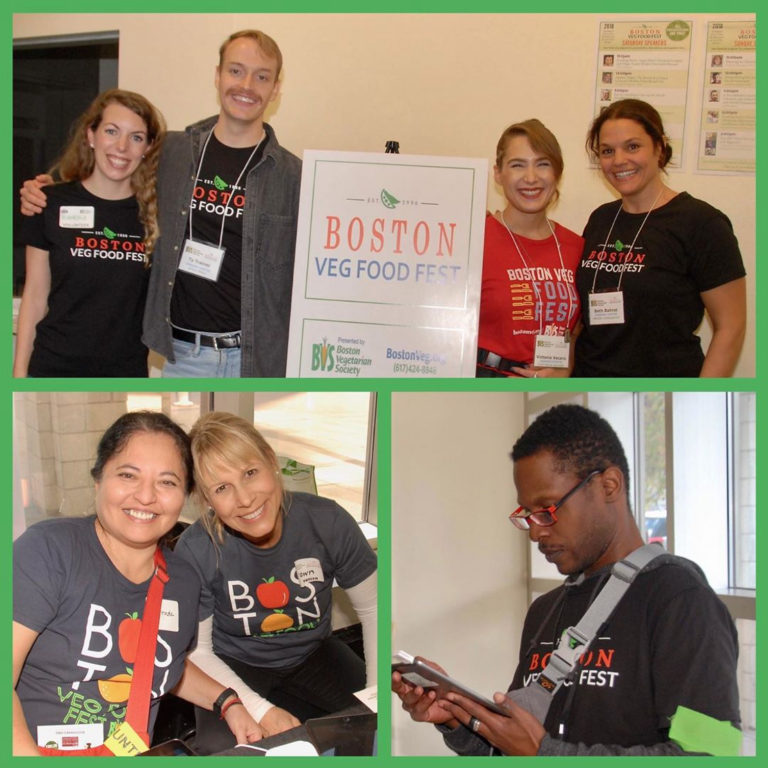 Volunteer Signup – Boston Vegetarian Society