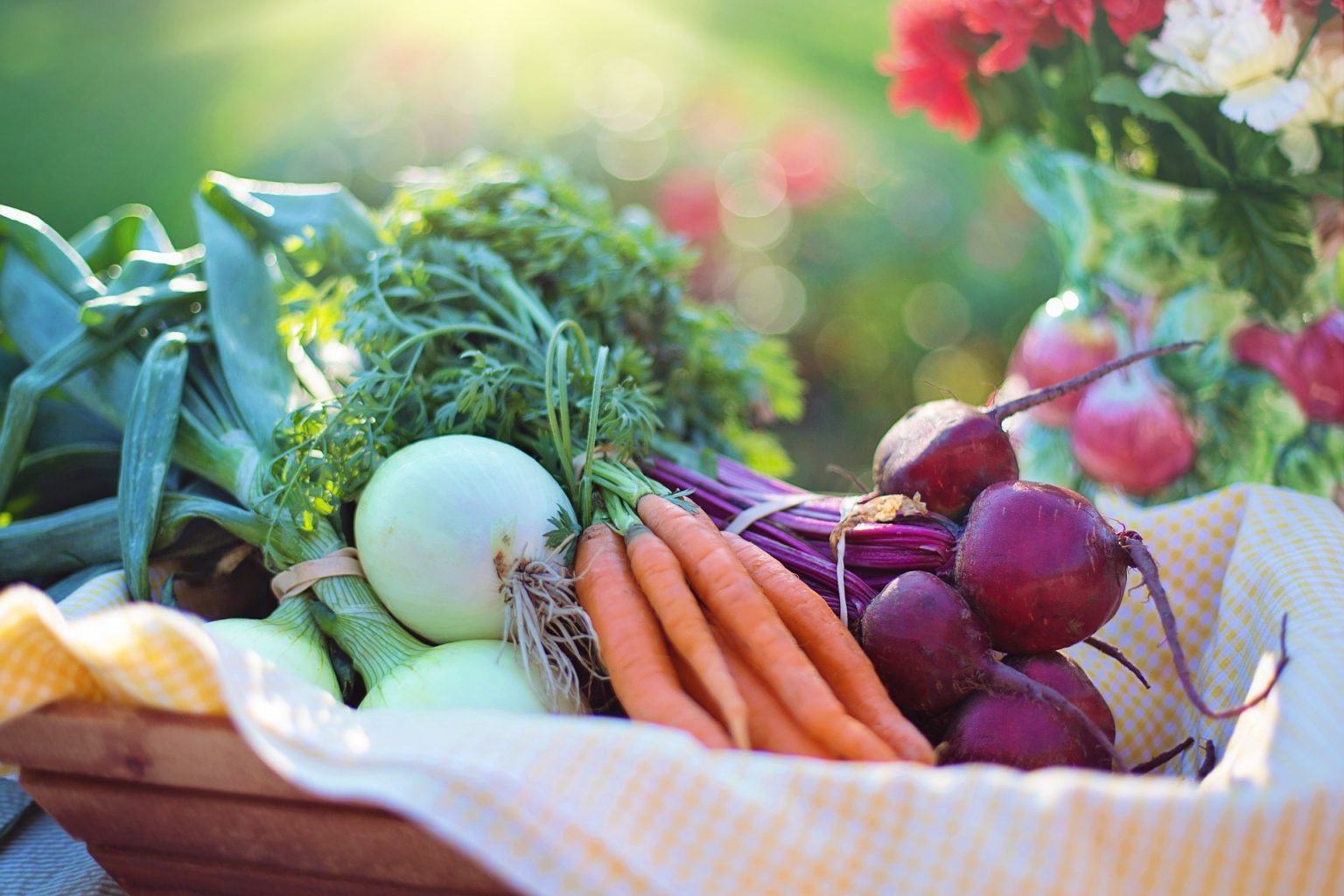 Going Veg: How to Go Vegetarian or Vegan – Boston Vegetarian Society
